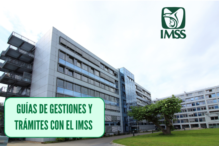 Gestiones y Trámites con el IMSS | Guías de Ayuda 2025